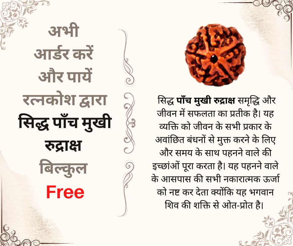 kuberakshi plant | Lucky money plant for Wealth and prosperity